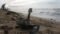 Oil slick from Novorossiysk threatens Crimea and Black Sea region ...