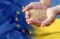 EU substantially increases quotas for Ukrainian food exports – Britpanorama