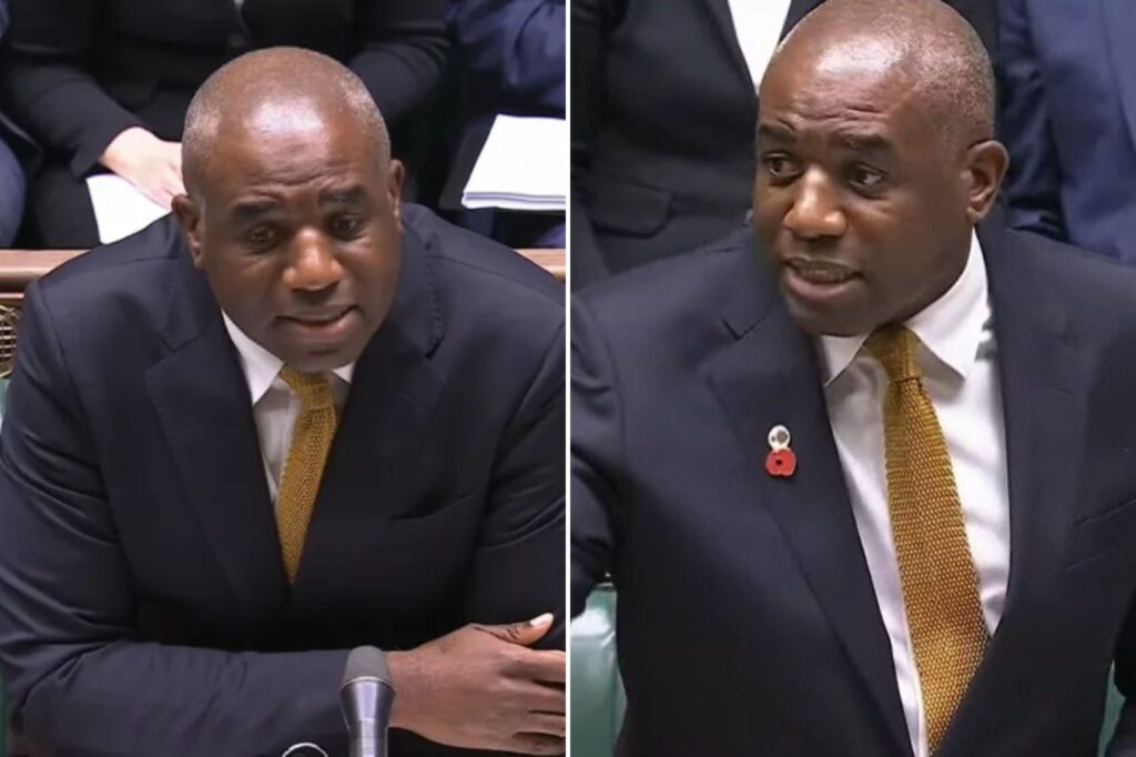 David Lammy borrows poppy from fellow MP after forgetting to wear one ...