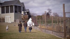 Women increasingly question hormonal birth control amid rising ...