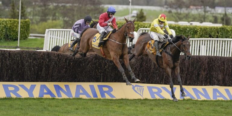 Envoi Allen dies after collapsing post-Gold Cup, marking third horse ...