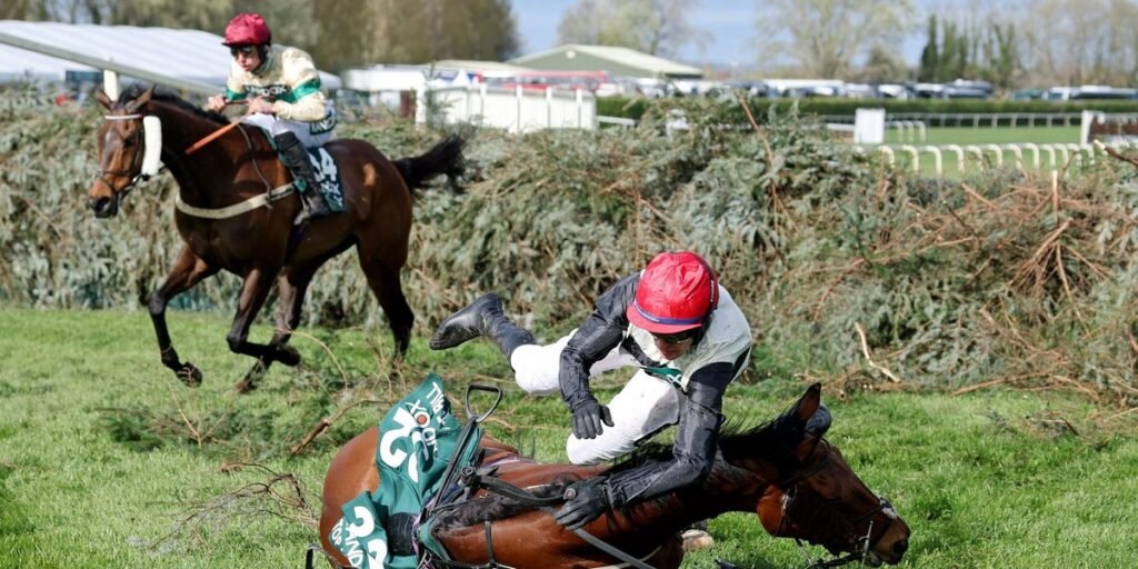 Jockey Toby McCain-Mitchell suspended for 10 days after horse falls at ...