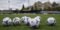 Non-league football fans challenge Premier League’s commercial ...