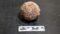 Archaeologists uncover second cannonball at Alamo site in significant ...